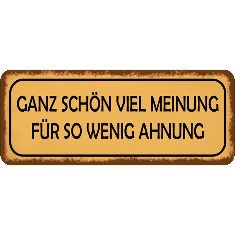 Schild Spruch "Viel Meinung für so wenig Ahnung" 27 x 10 cm, 9,49