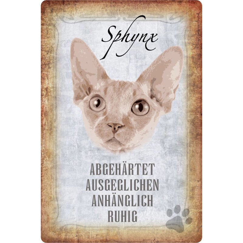 Schild Spruch "Spyhnx, abgehärtet ausgeglichen ruhig" Katze 20 x 30 c