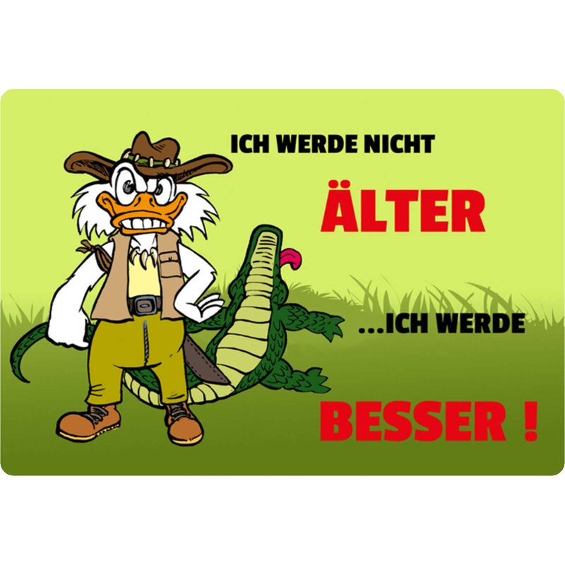 Schild Spruch "Werde nicht älter, werde besser" Ente 20 x 30 cm, 9,99