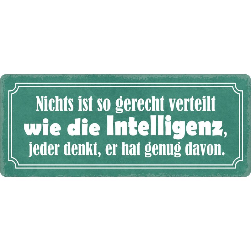 Schild Spruch "Nichts ist gerecht verteilt wie Intelligenz" 27 x 10 c