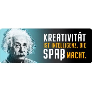 Schild Spruch "Kreativität ist Intelligenz die Spaß macht, Einstein ...