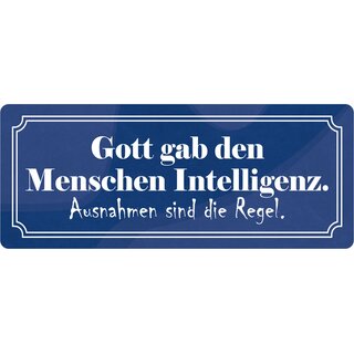 Schild Spruch "Gott gab den Menschen Intelligenz" 27 x 10 cm Blechsch